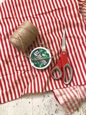 DIY Decorative Mint - The Shabby Tree