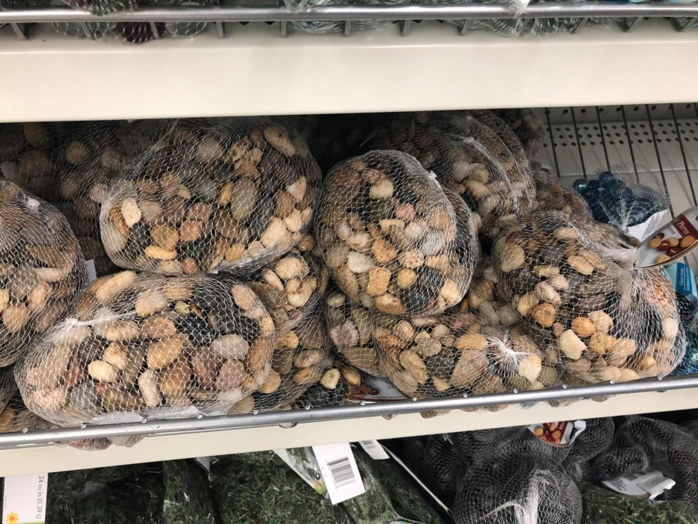 Dollar Tree Must Have Items For The Shabby Tree - The Shabby Tree