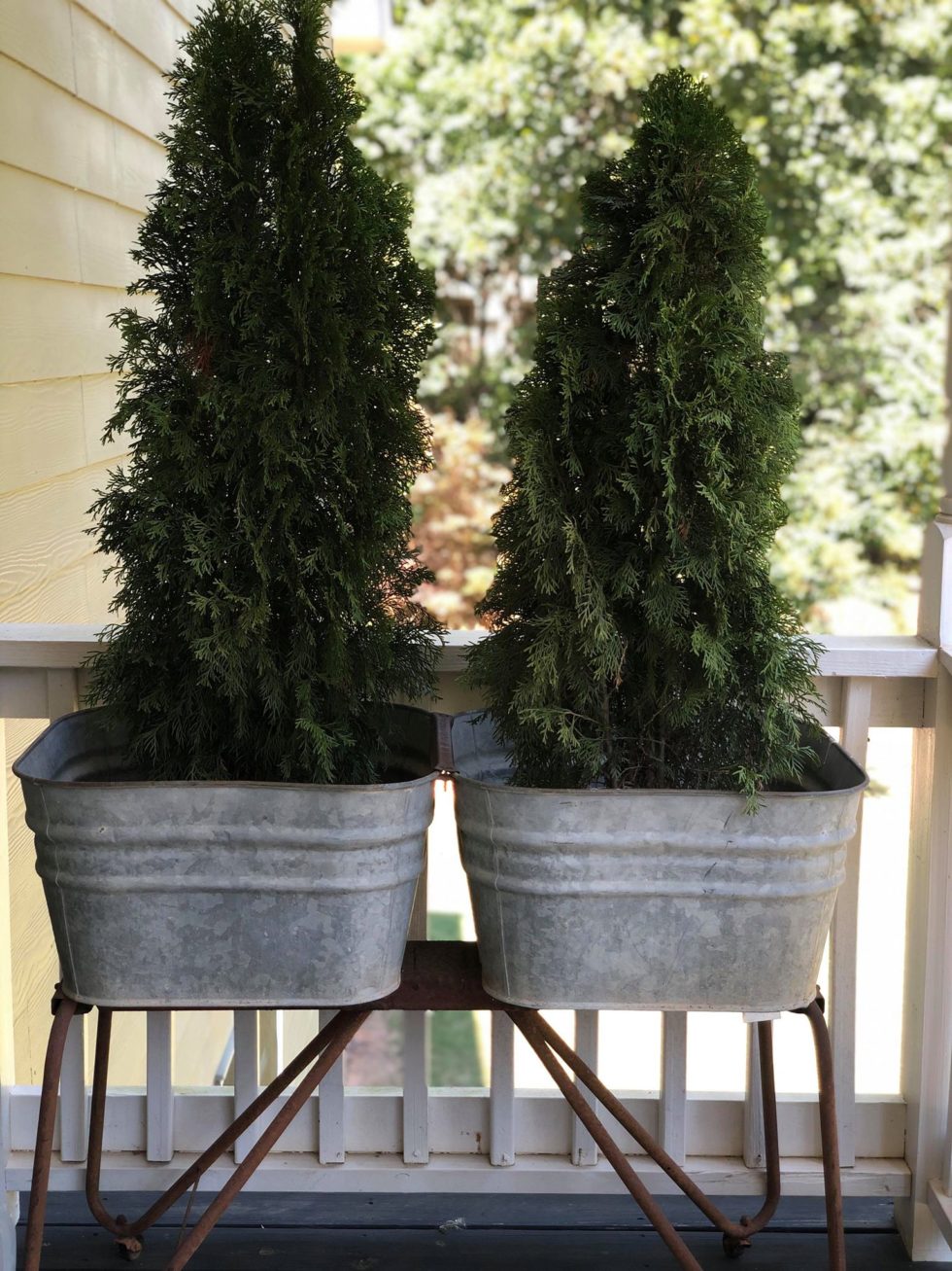 Trees I Keep Up All Year Long - The Shabby Tree