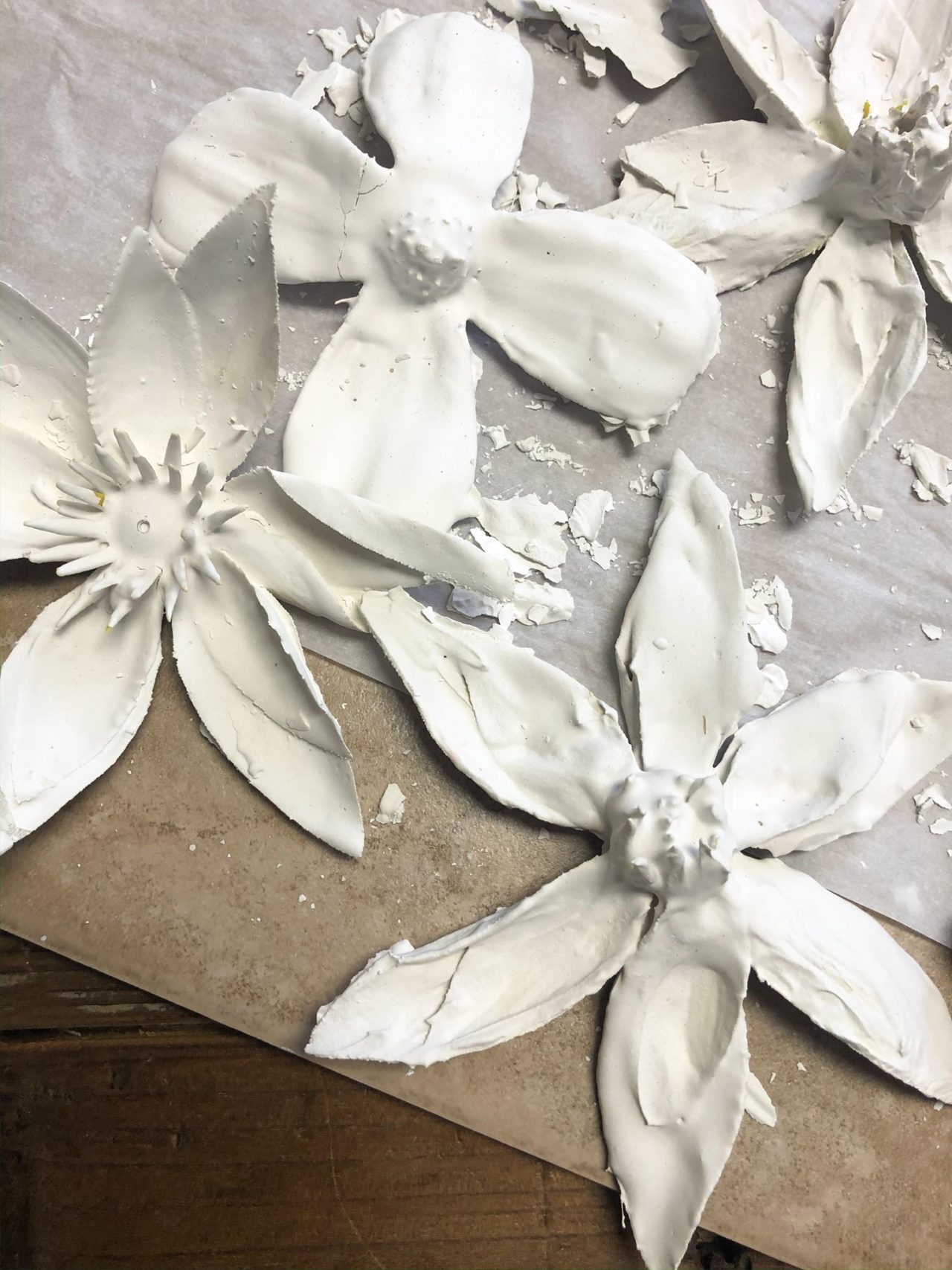 DIY Plaster of Paris Flowers - The Shabby Tree