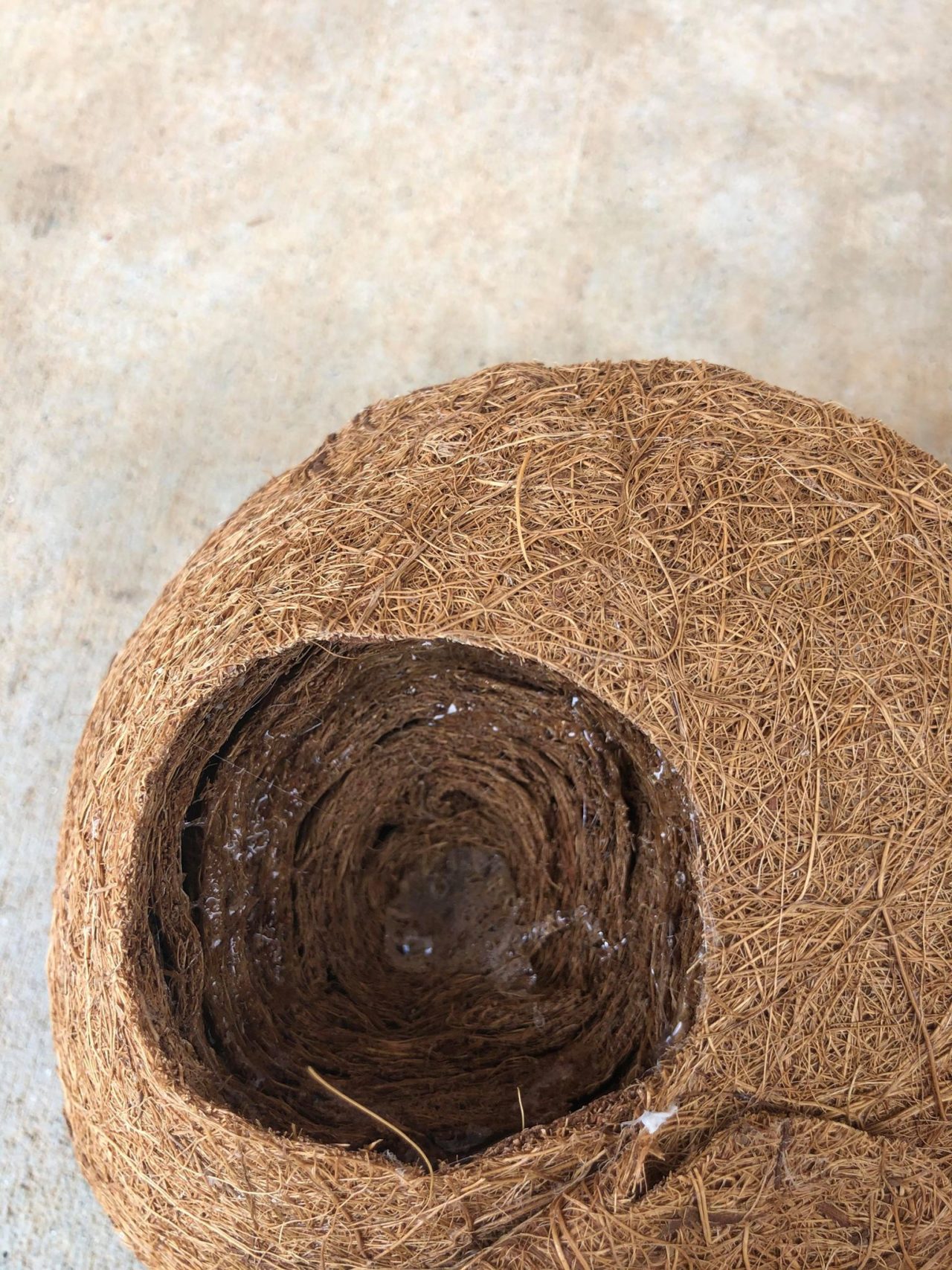 DIY Coco Liner Rose - The Shabby Tree