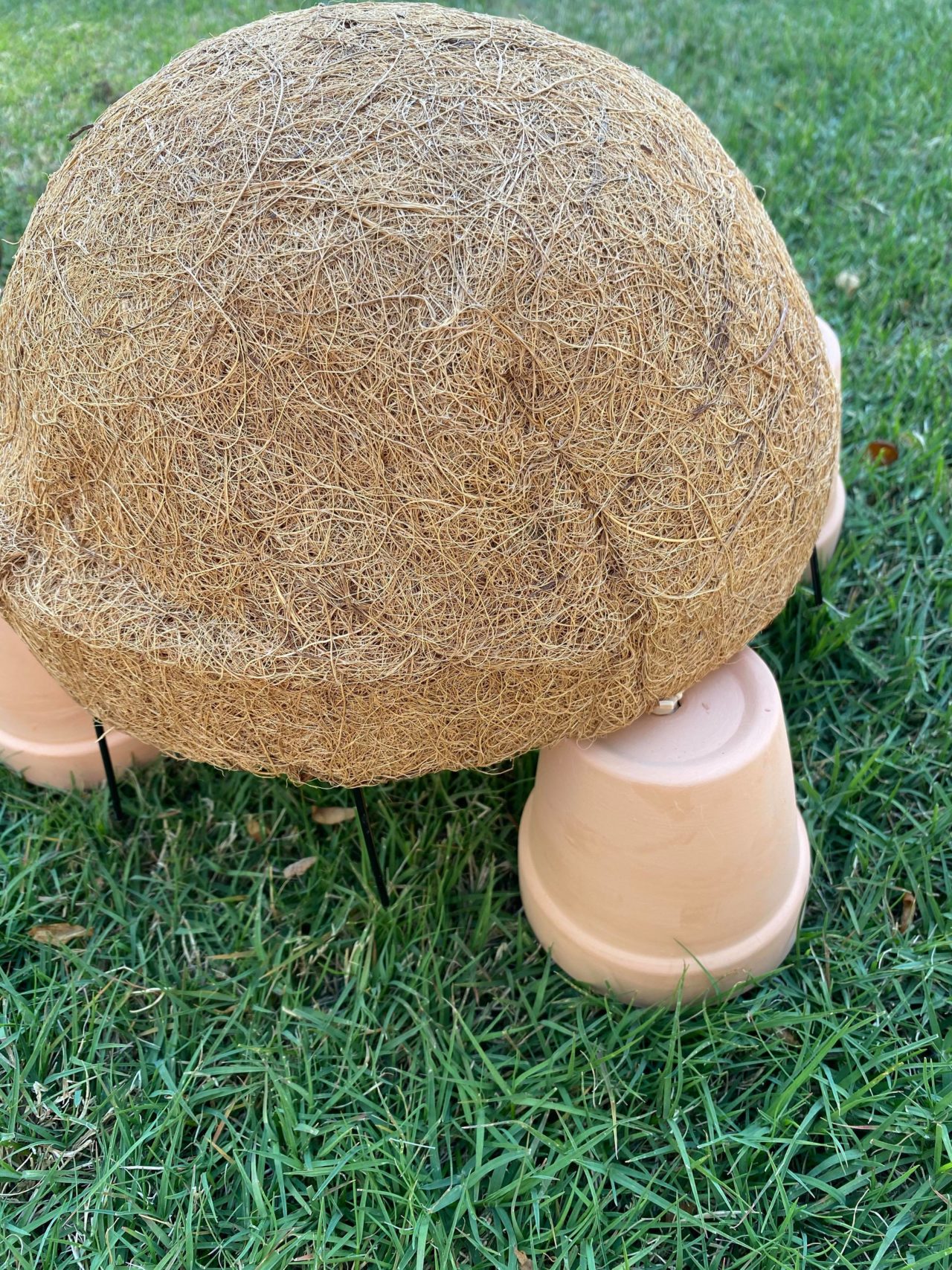 DIY Yard Turtle - The Shabby Tree