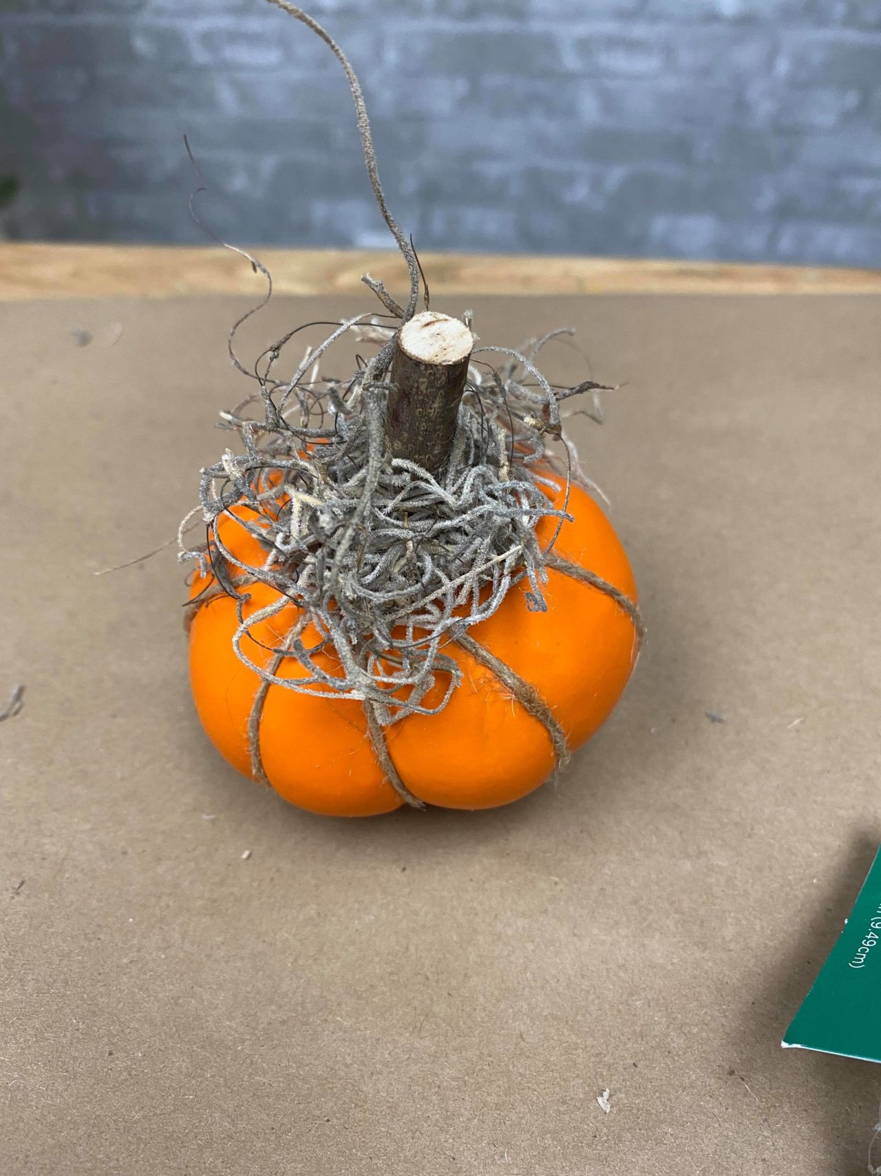 DIY Balloon Pumpkins - The Shabby Tree