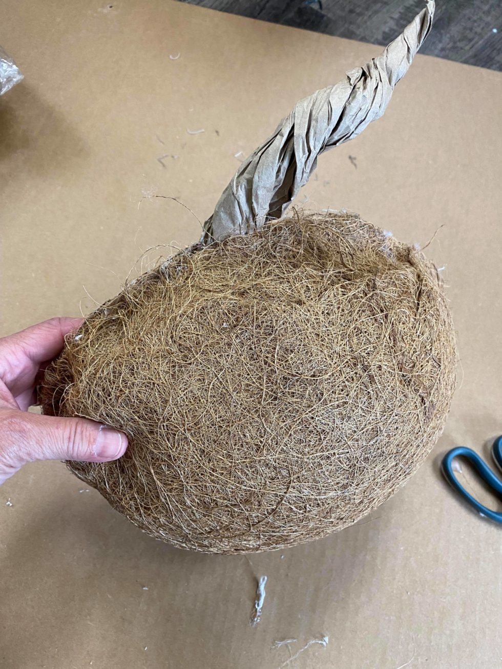 DIY Dollar Tree Coco Liner Pumpkin - The Shabby Tree