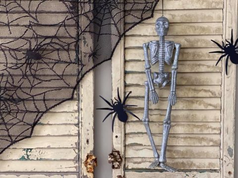 Dollar Tree Skeleton Makeover - The Shabby Tree