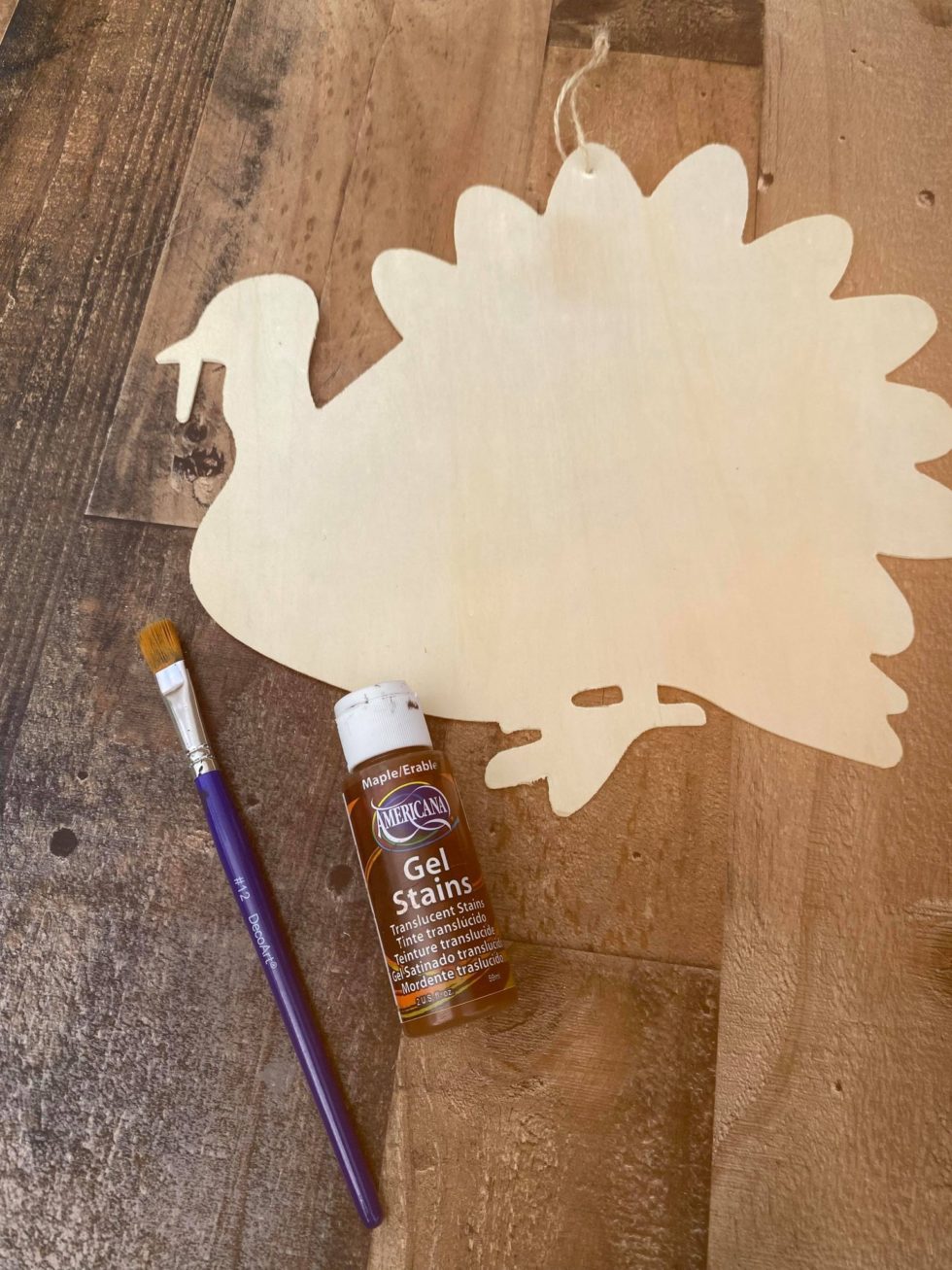 Dollar Tree Turkey Carft - The Shabby Tree
