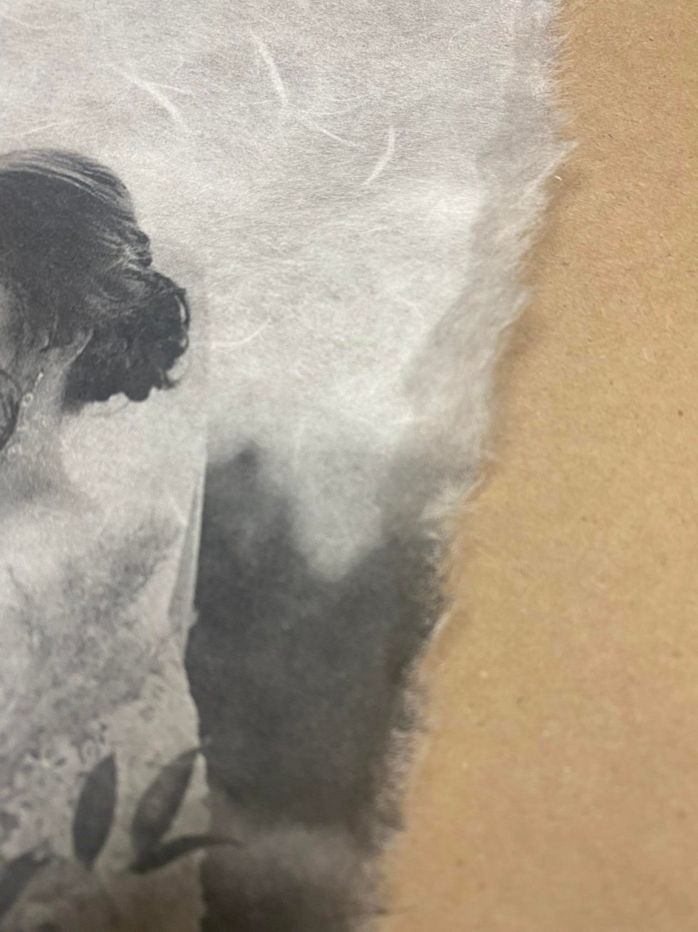 Printable Rice Paper Craft - The Shabby Tree