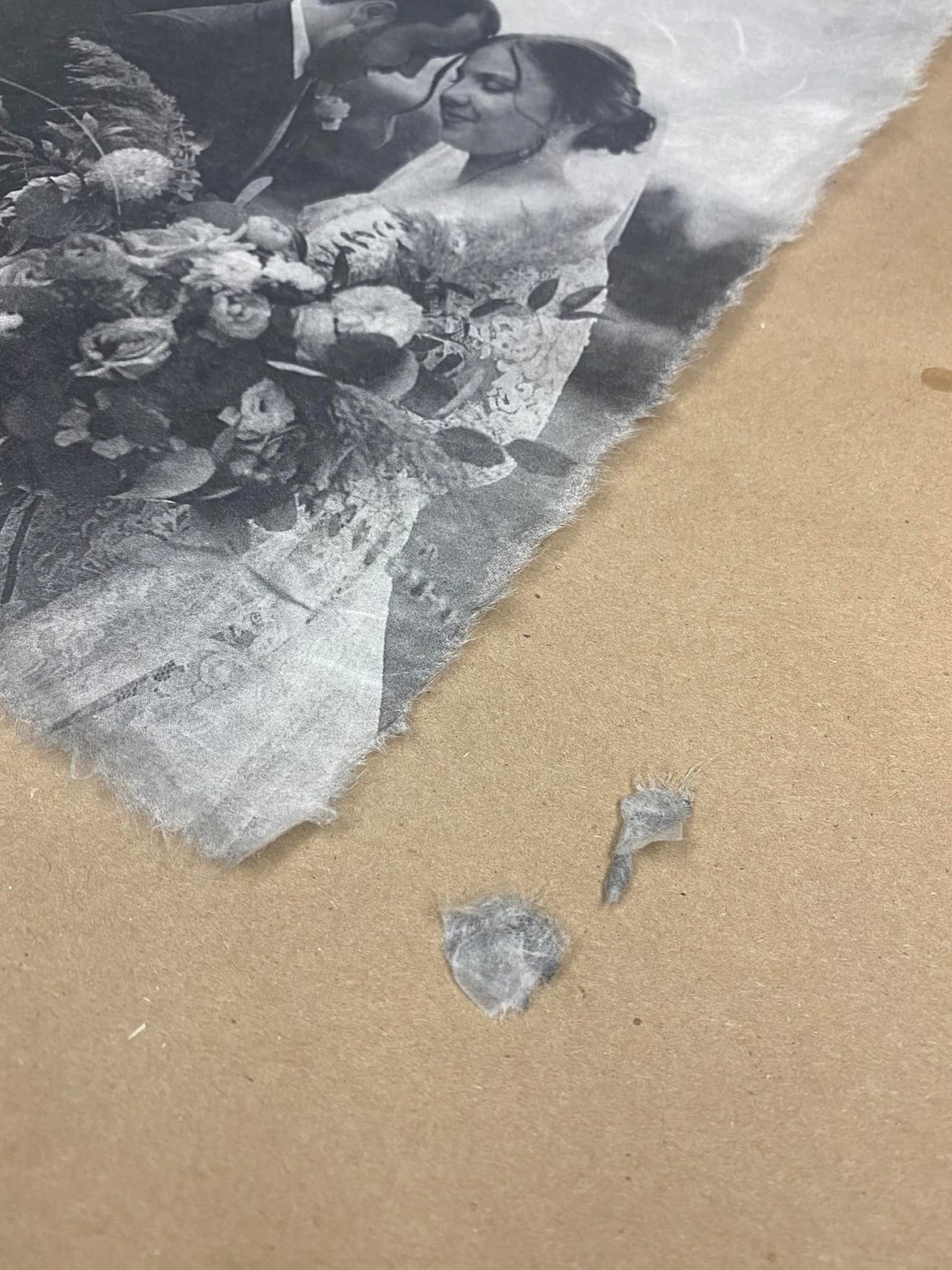 Printable Rice Paper Craft - The Shabby Tree