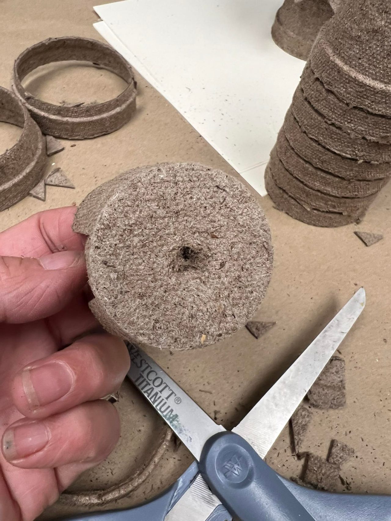DIY Tree Using Seed Starter Pots - The Shabby Tree