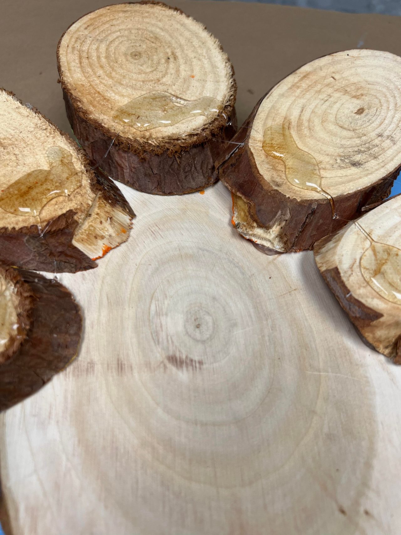 DIY Rustic Turkey - The Shabby Tree