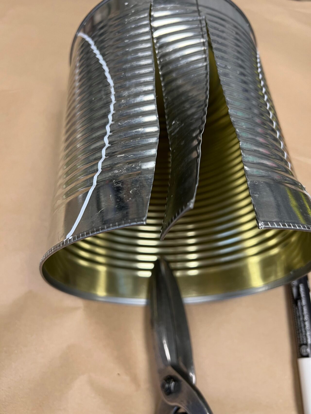 DIY Tin Can Craft - The Shabby Tree