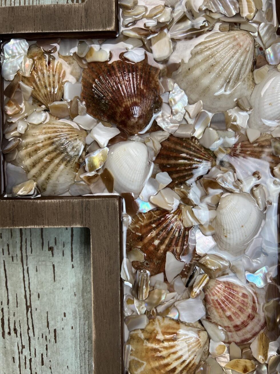 Sea Shell Craft Using Resin - The Shabby Tree