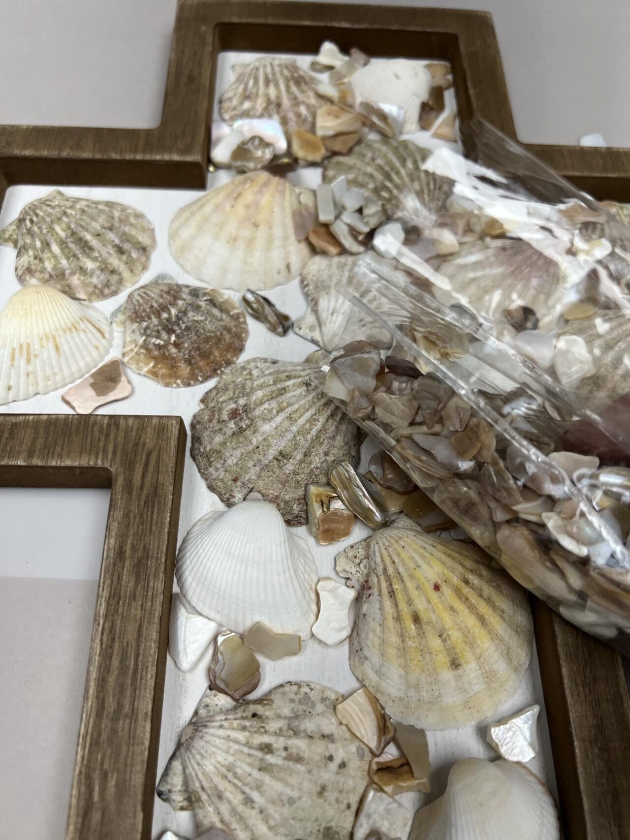 Sea Shell Craft Using Resin - The Shabby Tree