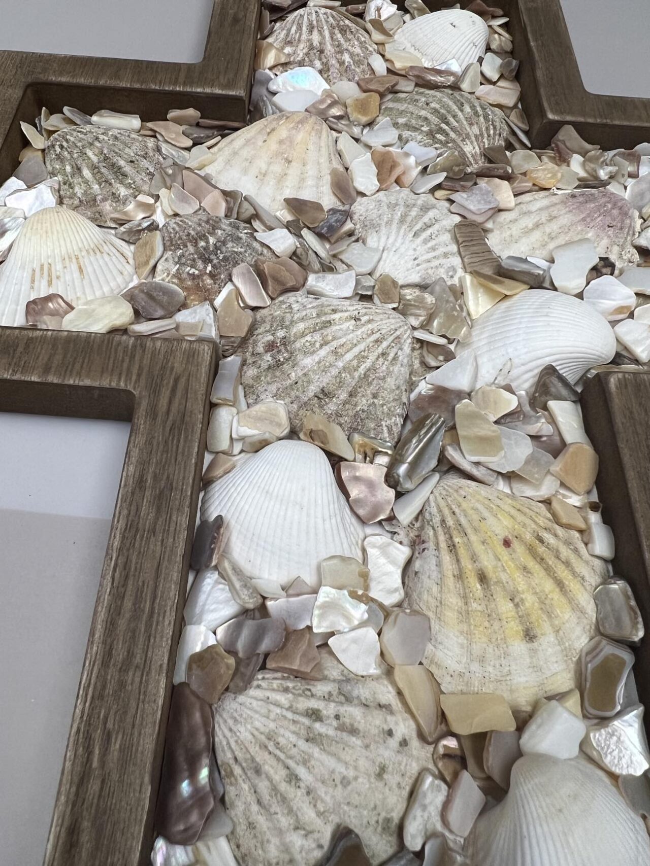 Sea Shell Craft Using Resin - The Shabby Tree