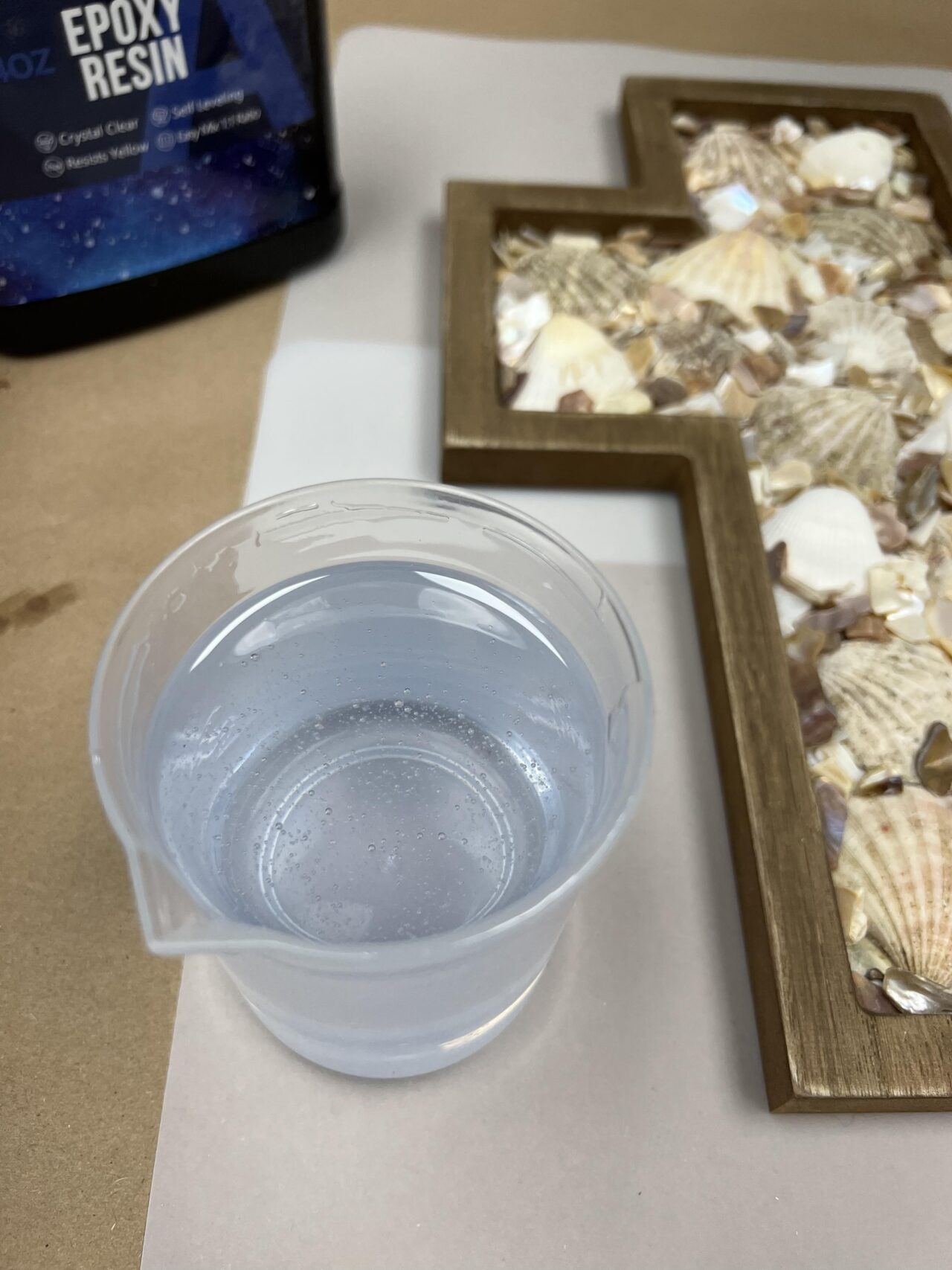 Sea Shell Craft Using Resin - The Shabby Tree