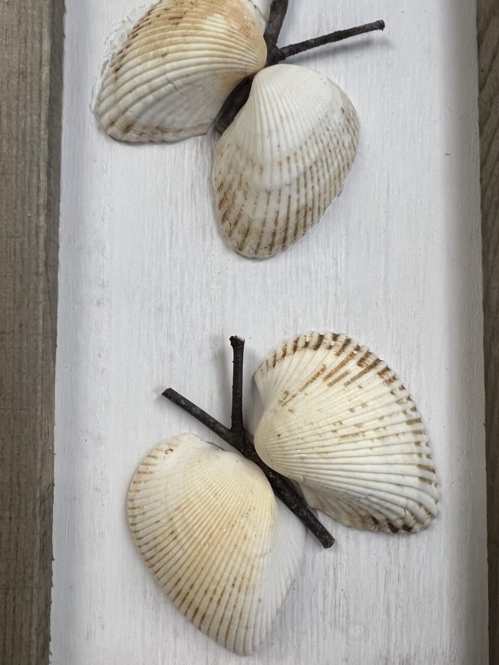 Seashell Craft Idea - The Shabby Tree