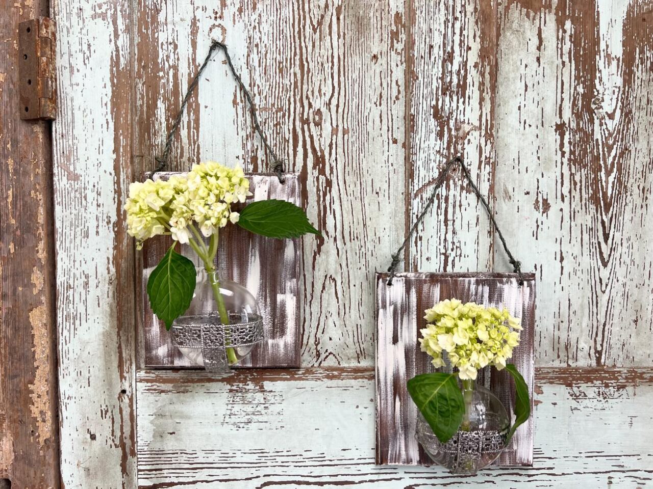 How To Make A Propagation Station - The Shabby Tree