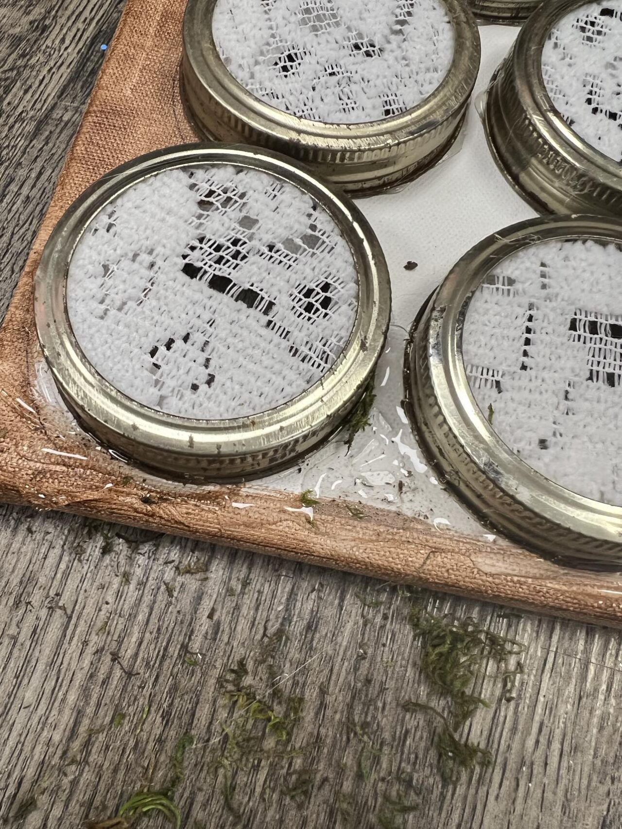 How To Make A Tree Out Of Canning Jar Lids - The Shabby Tree