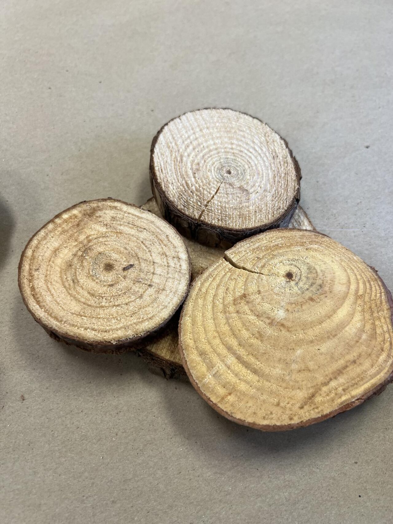 How To Make A Red Cardinal Tree - The Shabby Tree