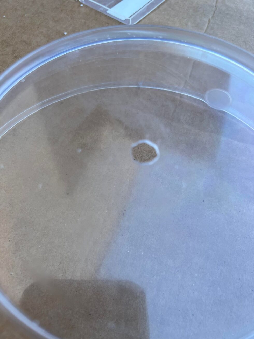 How To Make A Rusty Bell Out Of Plastic Bowls - The Shabby Tree