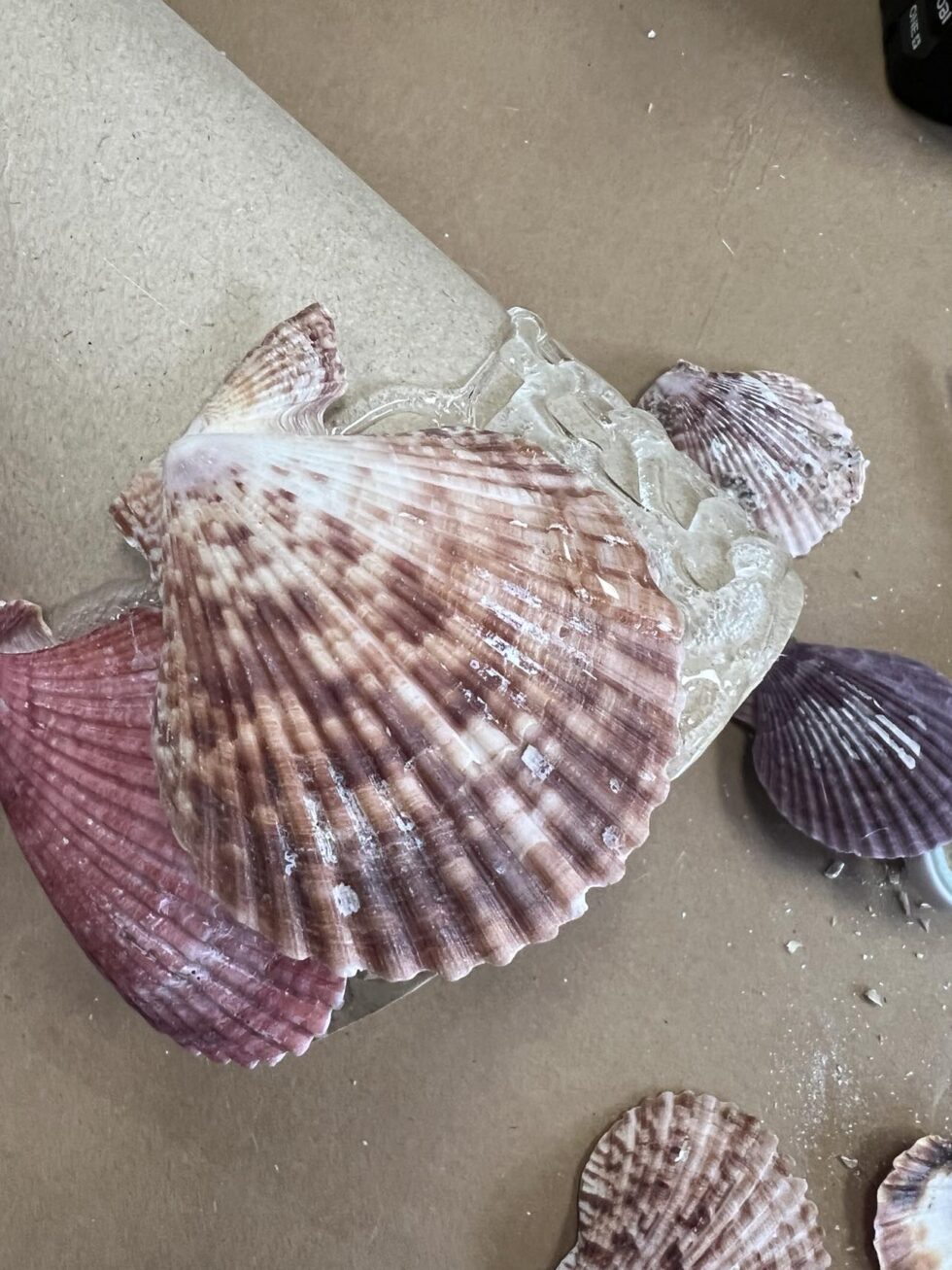 How To Make A Sea Shell Tree - The Shabby Tree