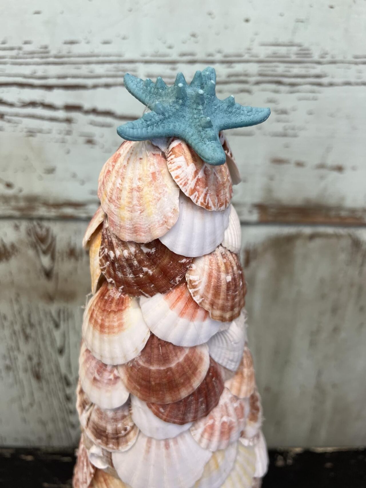 How To Make A Sea Shell Tree - The Shabby Tree