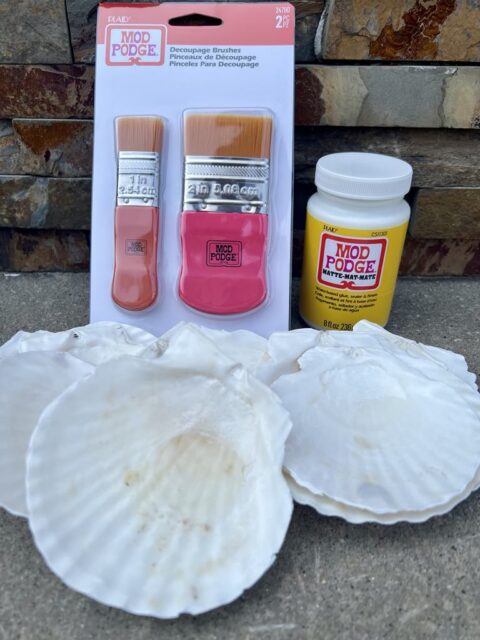 Mod Podge Craft Using Sea Shells - The Shabby Tree