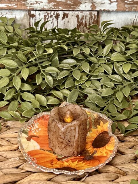 Mod Podge Craft Using Sea Shells - The Shabby Tree