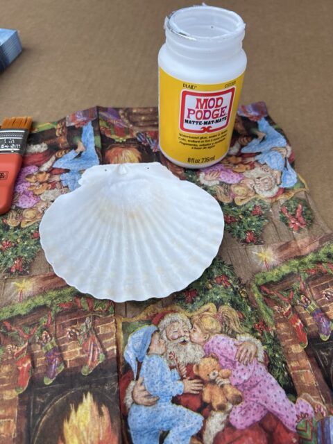 Mod Podge Craft Using Sea Shells - The Shabby Tree