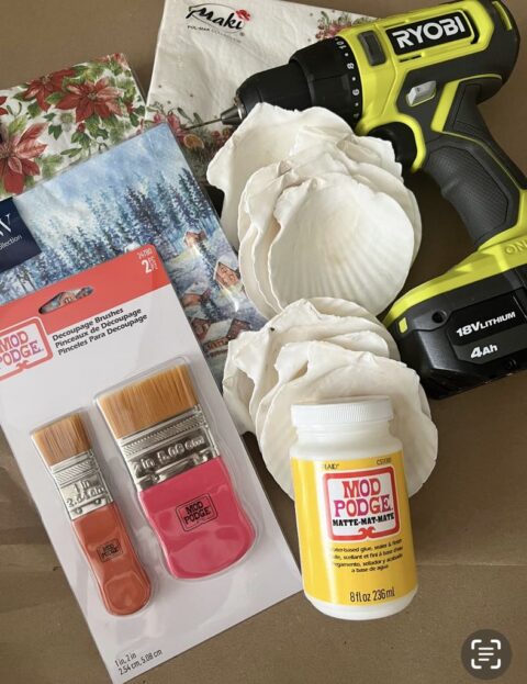 Mod Podge Craft Using Sea Shells - The Shabby Tree