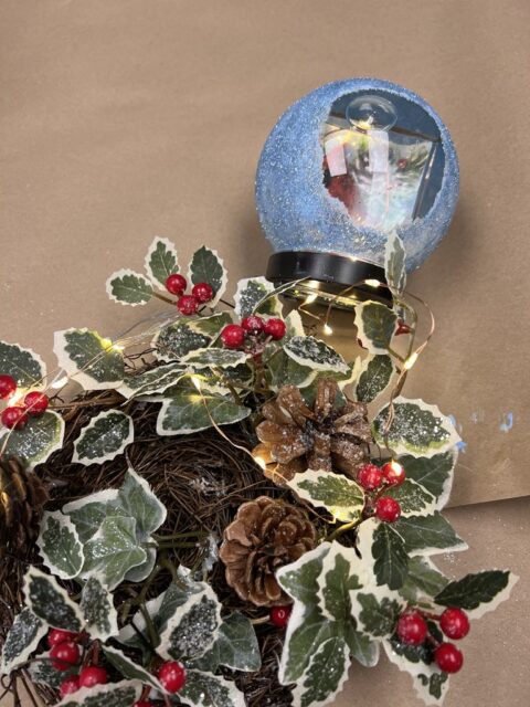 DIY Light-Up Cardinal Decor: Simple and Festive Craft Idea - The Shabby ...