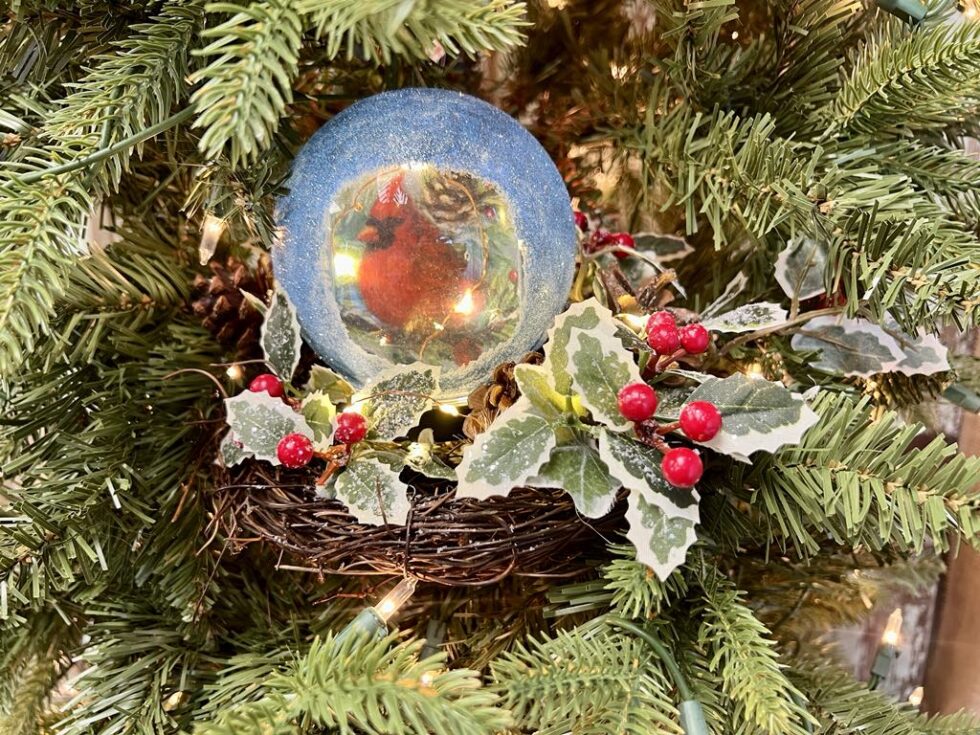 DIY Light-Up Cardinal Decor: Simple and Festive Craft Idea - The Shabby ...