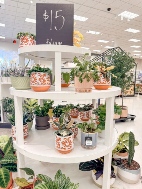 Easter and Spring at Target 2025 - The Shabby Tree