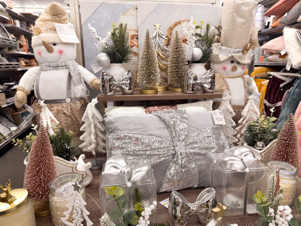 Christmas At Dollar General 2025 - The Shabby Tree
