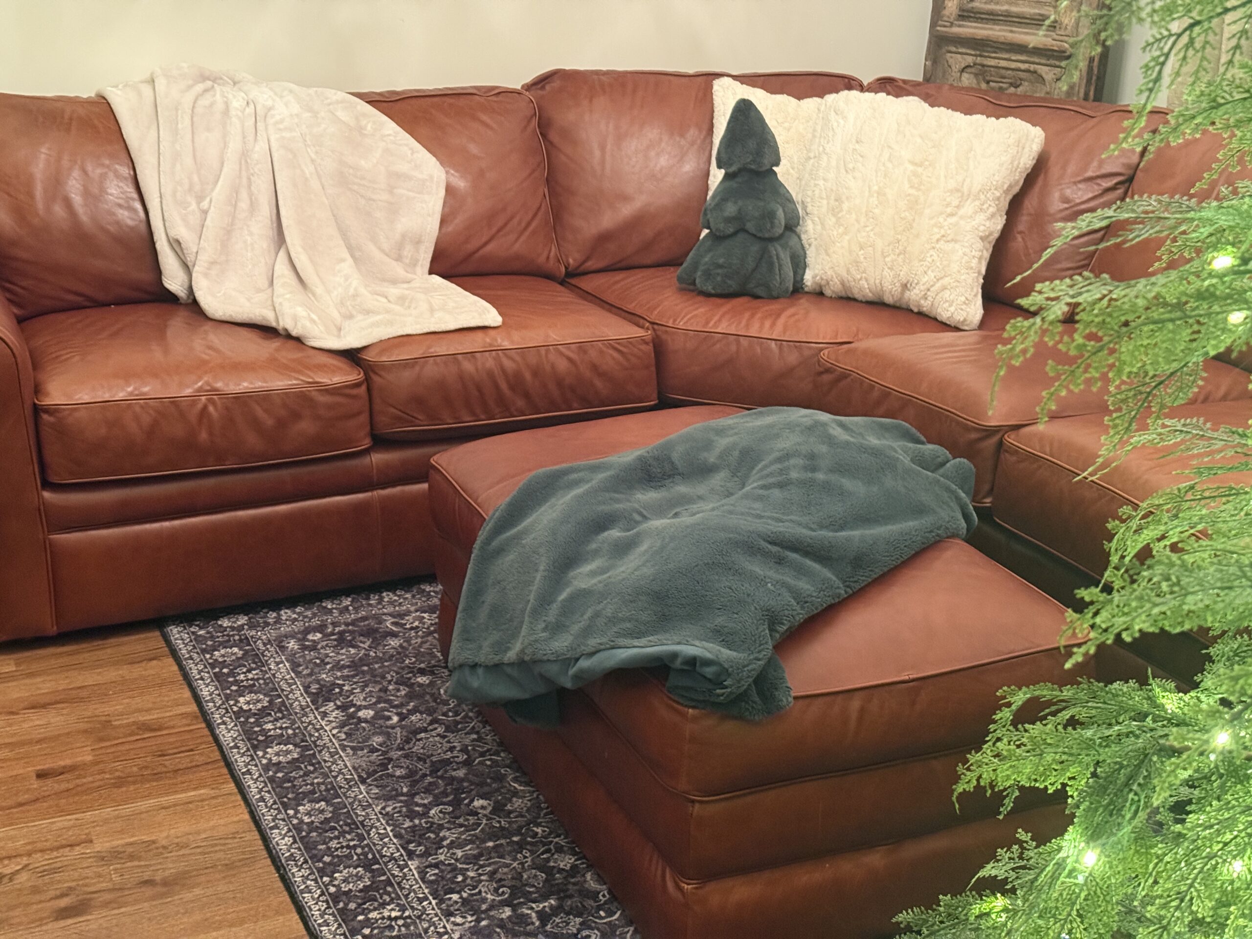 Home Page - The Shabby Tree